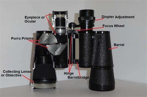 Different Parts Of A Binocular Explained In Simple Terms