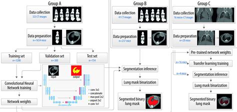 Deep Learning Based Automatic Lung Segmentation On Multiresolution Ct Scans From Healthy And