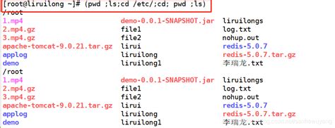 《linux命令行与shell脚本编程大全（第3版）》读书笔记case Path Csdn博客