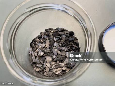 Closeup Biochar Diproduksi Melalui Pirolisis Kayu Solusi Berkelanjutan Untuk Penyerapan Karbon