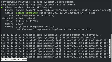 How To Install And Manage Podman Containers In Rhel Systems