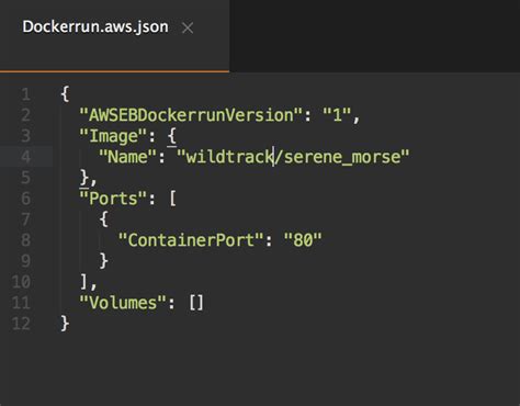 Github Wildtrackserver