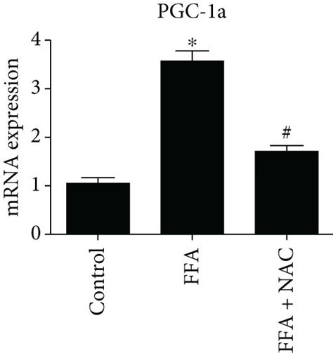 Ros Promote Higd1a Expression By Upregulating Pgc 1a A Pgc 1a Download Scientific Diagram