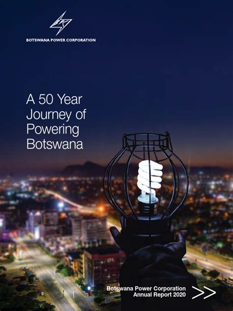 Bpc Annual Report 2020 Pdf Fixed Asset Expense