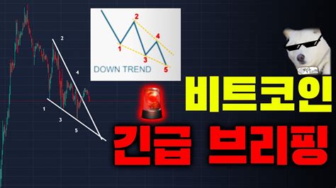 비트코인 집중 단기 Xx패턴 출현 대응 방법은 비트코인 이더리움 리플 Youtube