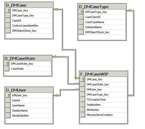 Ibm Case Analyzer Rdbms Schema Details For Writing Custom Queries