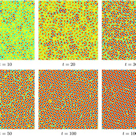 Snapshots Of Sh Model With Quadraticcubic Nonlinearity Download Scientific Diagram
