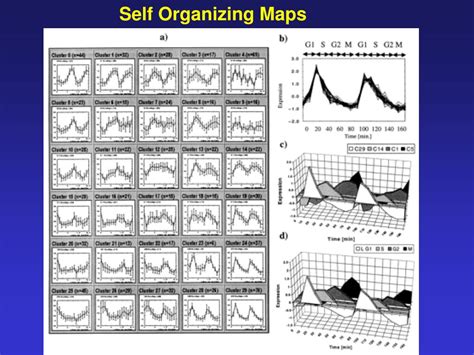 Ppt Cs491jh Data Mining In Bioinformatics Introduction To Microarray