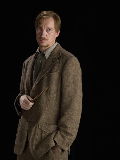 Remus Lupin Warner Bros Entertainment Wiki Fandom