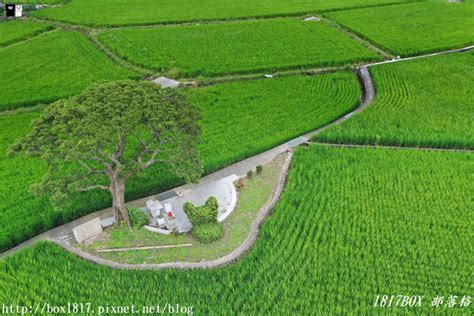 苗栗銅鑼｜200年歷史田心伯公，龍貓土地公，自然田園風光 輕旅行