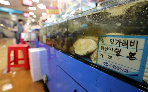 日 가리비 먹자니 찝찝방사능 검사 신청하세요 파이낸셜뉴스