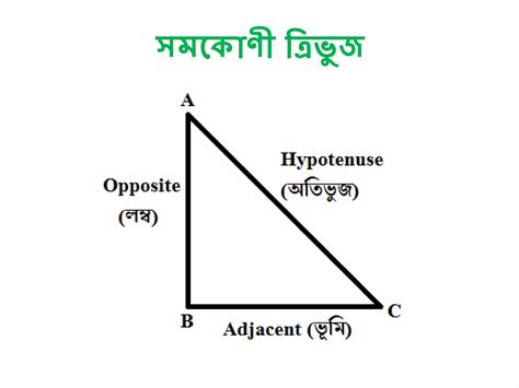 তরকণমত TRIGONOMETRY BASIC FORMULA PPTX