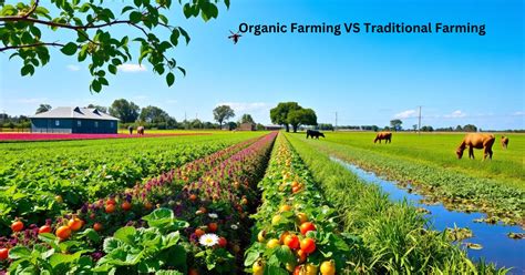 Organic Farming And Traditional Farming Which Is The Better