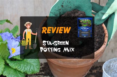Sta Green Potting Mix Review The Rex Garden