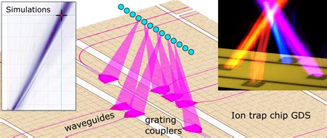 Research Niffenegger Lab