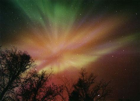 Archivo Aurora Wikipedia La Enciclopedia Libre