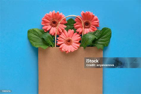 파란 종이 배경 복사 공간에 공예 파파 당 쇼핑 가방에 산호 거 베라 데이지 꽃 0명에 대한 스톡 사진 및 기타 이미지 0명 3월 4월 Istock