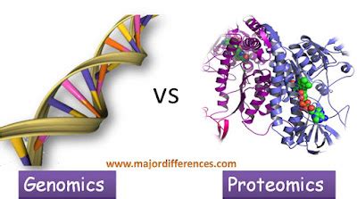 Difference Between Genomics And Proteomics