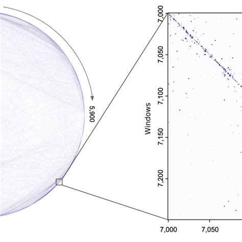 Hi C Saliency Map Visualization Left Saliency Map For The All 500k