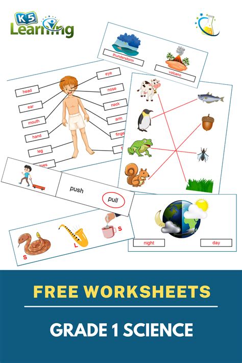 Grade 1 Science Worksheets Science Worksheets 1st Grade Worksheets