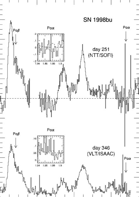 Infrared Spectra Of Sn 1998bu In The Nebular Phase Taken At 251 Days