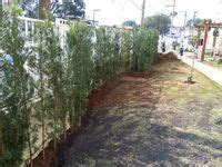 22 Ideias De Cercamento Do Terreno Em 2026 Cercas De Quintal Projeto