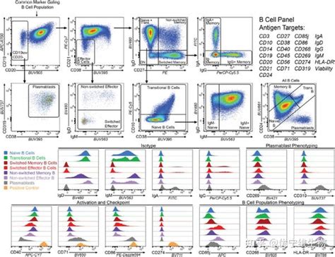 光谱流式与常规流式对人外周血pbmc的高维免疫分型分析 知乎