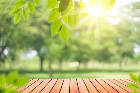 복사 공간 빈 오래된 나무 테이블 추상적 인 배경에 태양 빛과 공원과 녹색 자연 보케 잎을 흐리게 신선한 자연의 제품 프리젠 테이션 생태 환경과 자연 개념 0명에 대한 스톡