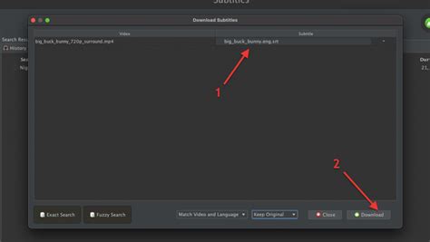 FileBot Rename Your Media Files Like A Pro RapidSeedbox