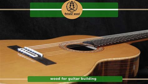 Most Expensive Wood For Guitar - Finland Wood