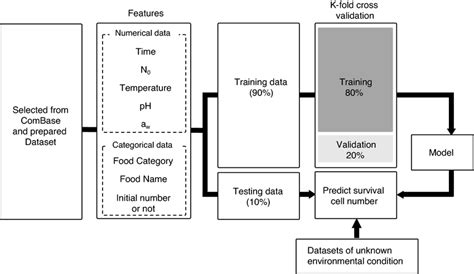 Flow Of Model Development And Validation Download Scientific Diagram