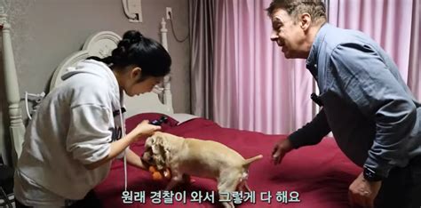 로버트 할리 집이 수상한 사유리 근황 ㅋㅋㅋㅋㅋ  포텐 터짐 최신순 에펨코리아