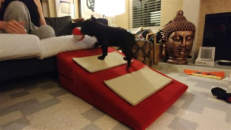 adulthood is converting your sex pillow into a couch ramp for your