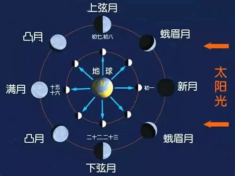 吃货福音：中秋节这么吃 连月相都给娃教会了 腾讯abcmouse腾讯版 少儿英语学习儿童英语在线在线英语学习