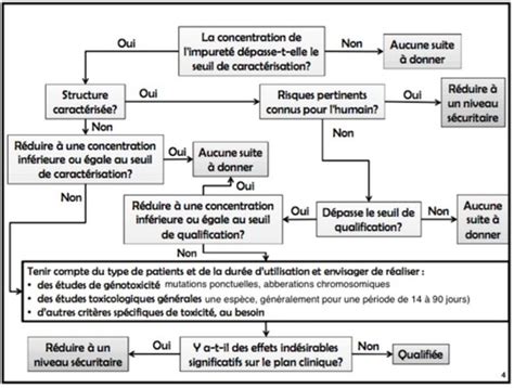 Distribution Ctd Module 3 Sa Cartes Quizlet