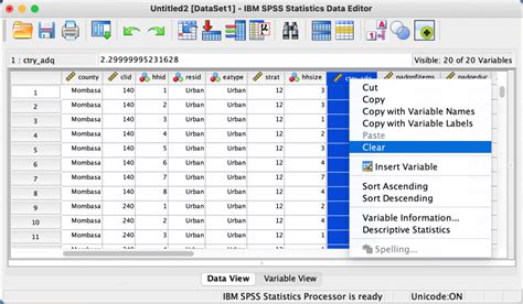 SPSS Tutorial Data Modification In SPSS Resourceful Scholars Hub