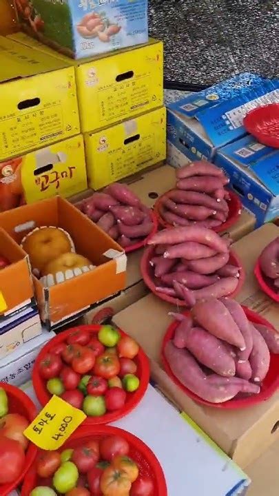 4평가게매대셋팅끝~ Youtube