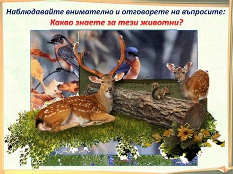 13 Диви и домашни животни РК Просвета В П Pptx