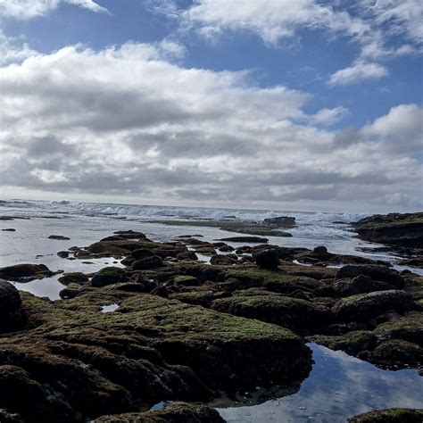 Shell Beach Tide Pools All You Should Know Before Going 2026 With