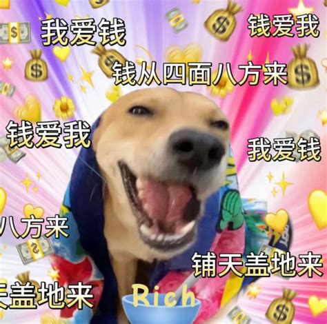 表情包 我爱钱 钱爱我 钱从四面八方来 高清图片堆糖美图壁纸兴趣社区