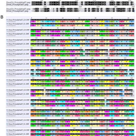 A Clustal Omega Amino Acid Sequence Alignment Of The D Melanogaster Download Scientific