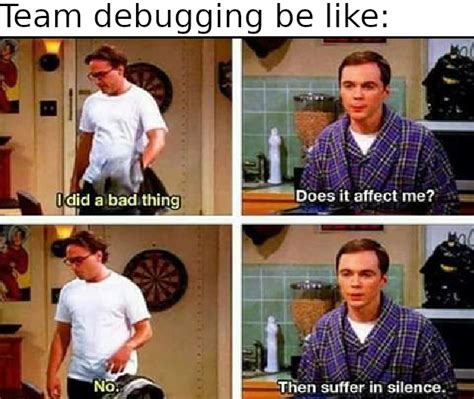 Speaking From Experience R Programmerhumor