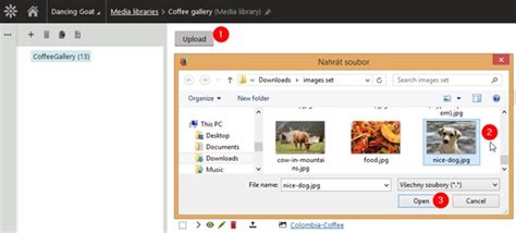Search For Media Libraries