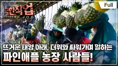 Full 극한직업 필리핀 바나나 파인애플 농장 Youtube