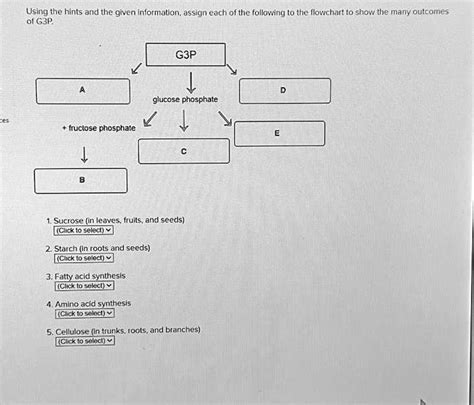 Using The Hints And The Given Information Assign Each Of The Following