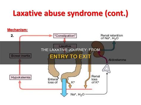 The Laxative Journey From Entry To Exit Medshun