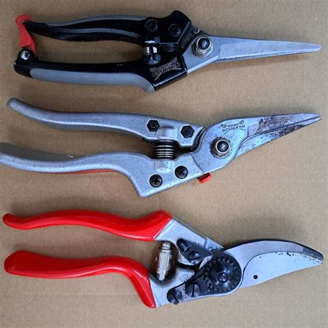 What Are The Best Pair Of Secateurs What Are The Best Pair Of