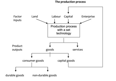 Microeconomics Definitions Flashcards Quizlet