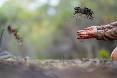 Premium Photo University Babe Conducting Research On Forest Health Farmer Collecting Soil