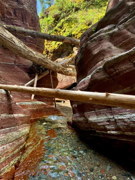 Red Rock Canyon Hike Waterton Lakes National Park The Holistic
